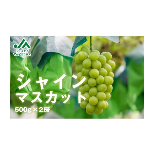 容量2房(秀・500g以上×2)消費期限1週間程度発送期日2026年9月下旬〜10月下旬【配達】ヤマト運輸または佐川急便配送冷蔵 のし 時間指定 別送申込期日2026年9月20日まで事業者株式会社 ジェイエイてんどうフーズ申込条件何度も申し込み可