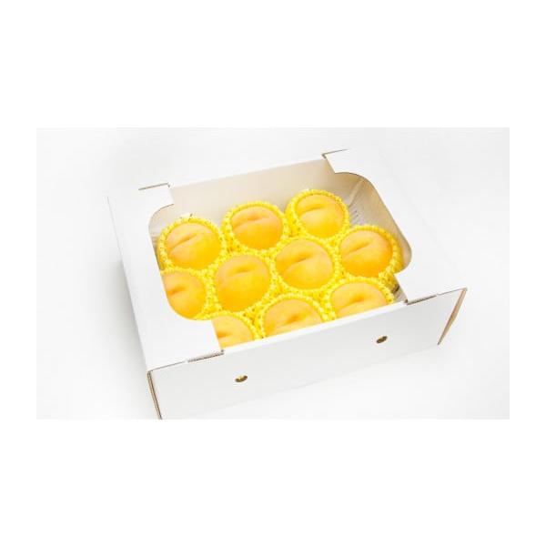 容量約3kg(秀6〜11玉)黄金桃、黄貴妃、滝ノ沢ゴールド、光黄、黄ららの中からいずれかをお届け※品種の指定はできかねます。消費期限1週間程度発送期日2026年8月中旬〜8月下旬【配達】ヤマト運輸配送冷蔵 のし 時間指定 別送申込期日202...