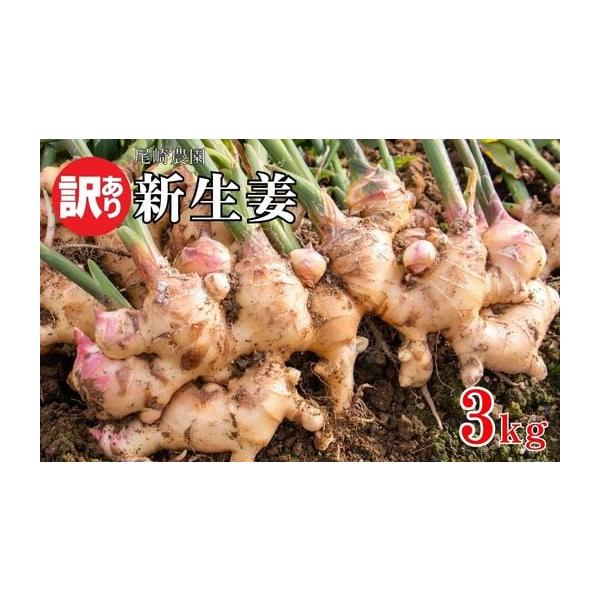 容量愛南町産　新生姜約3kg消費期限常温7日発送期日2025年11月上旬〜12月下旬（なくなり次第終了）※生育状況により、出荷時期が前後する場合がございます。配送常温 時間指定 別送申込期日〜2025年12月31日（なくなり次第終了）事業者...