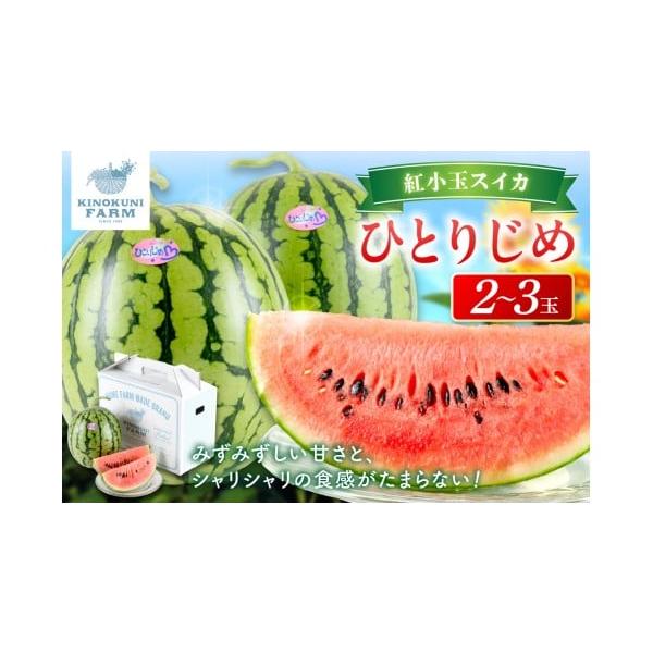 容量2〜3玉　M〜２Lサイズサイズによって2玉か3玉どちらかでのお届けとなります。※サイズのご指定はできません。消費期限発送から7日程度（発送日を含む）発送期日2026年6月中旬から順次発送予定配送常温 時間指定 別送申込期日〜2026／0...