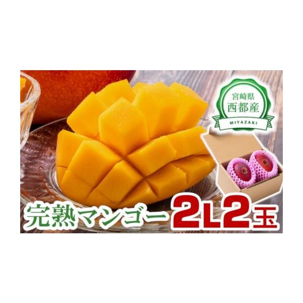 容量完熟マンゴー2L×2玉　※2Lサイズ1玉は350g〜449gになります消費期限発送より1週間以内（お早めにお召し上がりください）発送期日令和8年4月中旬〜7月末あたりの間に順次発送予定です。ゴールデンウイーク中も発送がありますのでご注意...