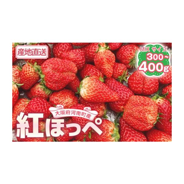 容量MIX（サイズいろいろ）【数量限定：50セット】※お申込時の決済手段は、『オンライン決済限定』となります。＜その他の払込方法をご選択いただいても受付が出来ませんので何卒ご了承ください。＞1．商品到着後は、必ず冷蔵庫で保存し、出来る限りお...