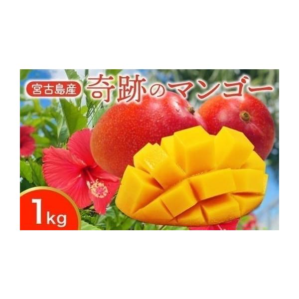 容量1kg箱(2〜4玉)※玉数の指定はできません。消費期限商品到着後、冷蔵庫で冷やしてお早めにお召し上がりください。発送期日2026年6月下旬〜7月下旬頃まで予定　※収穫後順次出荷のためお届け日指定不可配送冷蔵 別送申込期日2026年7月1...