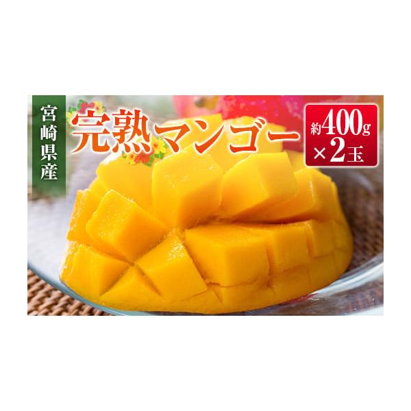 容量約400g × 2玉消費期限出荷から7日※樹上完熟での収穫の為、出来るだけ早くお召し上がりください。保存方法：冷蔵発送期日2026年4月下旬から8月上旬までに順次発送※想定外の病気・天災(台風等)により収穫できない場合は、返礼品が変更に...