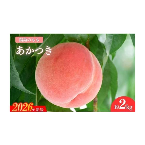 容量約2kg消費期限発送日+3日程度発送期日7月下旬から8月上旬発送予定配送冷蔵 定期 時間指定 別送事業者果樹園きつない申込条件何度も申し込み可、オンライン決済限定