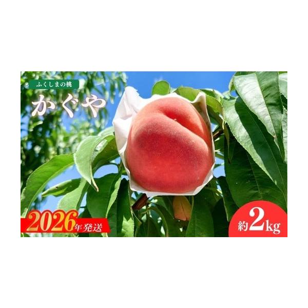 容量約2kg消費期限発送日+3日程度発送期日2026年8月下旬から2026年9月上旬発送予定配送冷蔵 定期 時間指定 別送事業者果樹園きつない申込条件何度も申し込み可、オンライン決済限定