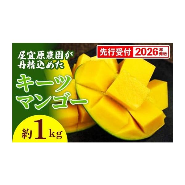 容量キーツマンゴー約1kg（1〜2玉）※玉数指定はできません。消費期限到着後は常温で追熟させ、食べ頃になりましたら冷やしてお召し上がり下さい。発送期日2026年8月上旬〜8月末頃を予定配送常温 別送申込期日2026年7月末頃を予定事業者屋宜...