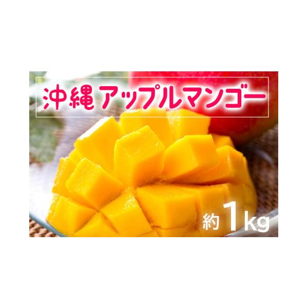 容量良品アップルマンゴー　1kg(2玉〜3玉) ※玉数の指定はできません消費期限商品到着後は冷蔵庫で冷やし、召し上がりください。発送期日2026年6月下旬〜8月上旬頃予定配送冷蔵 別送事業者糸満青年クラブ（マンゴー）申込条件何度も申し込み可