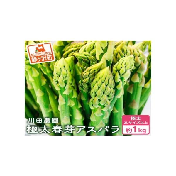容量春芽グリーンアスパラガス 約1kg、2L以上 超極太発送期日2026年5月10日〜2026年6月5日配送冷蔵 別送申込期日2026年5月20日まで事業者川田農園申込条件何度も申し込み可