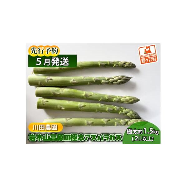 容量春芽グリーンアスパラガス 約1.5kg、2L以上 超極太発送期日2026年5月10日〜2026年6月5日配送冷蔵 別送申込期日2026年5月20日まで事業者川田農園申込条件何度も申し込み可