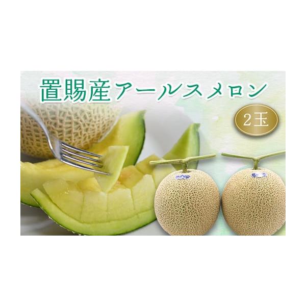 容量約1.75kg〜2.0kg×2玉消費期限常温で10日程度発送期日2026年8月下旬頃〜9月下旬にかけて、寄付受付順に発送配送常温 時間指定 別送申込期日2026年9月20日頃まで事業者長井中央青果申込条件何度も申し込み可