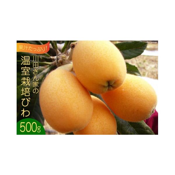 容量■内容量500ｇ（Lサイズを中心にお送りしますが、生育状況によって多少サイズにばらつきが生じます。）消費期限【保管方法】 冷蔵庫に入れると黒くなるため、常温で保存発送期日2026年4月中旬〜2026年5月初旬において順次出荷※申込期日：...