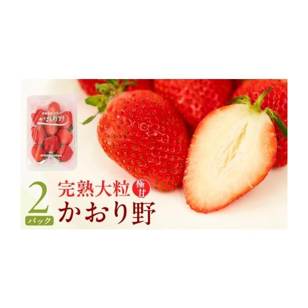 容量260g×2パック消費期限常温：3日程度冷蔵：6日程度発送期日2026年1月上旬から2026年3月下旬頃までお申込み受付順に発送開始※天候の影響で収穫時期が前後する場合がございます。予めご了承ください。配送冷蔵 別送申込期日2026年2...