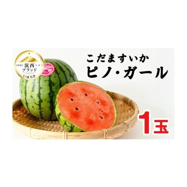容量こだまスイカ  ピノ・ガール1玉※1玉重量約1.5kg消費期限到着後1週間程度発送期日5月中旬〜6月下旬※天候や生育状況により時期が前後する場合がございます配送常温 別送申込期日2026年6月7日まで事業者協和園芸開発株式会社申込条件何...