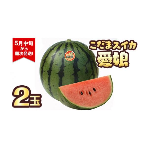 容量2玉（約1.5kg ／玉）消費期限1週間以内発送期日【2026年発送】入金確認後、5月中旬〜6月下旬にかけて順次発送※発送時期は、例年の発送時期になっております。その年の天候や発育によりお届けが遅れる、又は早まることがあります。配送常温...