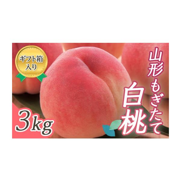容量もぎたて白桃3kg(8玉〜12玉)  【品種おまかせ】化粧箱入り発送期日2026年7月下旬〜9月下旬まで配送常温 時間指定 別送申込期日2026年9月10日まで事業者やまがた直送市場申込条件何度も申し込み可、オンライン決済限定