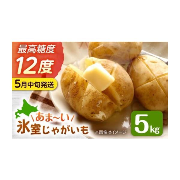 容量5kg消費期限※冷蔵庫（または冷暗所）に保存の上、到着後はなるべくお早めにお召し上がりください。発送期日【予約受付中】※本返礼品は現在予約受付中です。※2026年5月中旬〜6月中旬の間、順次発送予定となります。※配送日、配送時期の指定は...