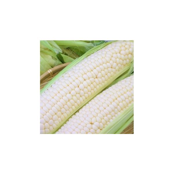 容量■内容量パールコーン 10本(1本あたり平均350g程度)消費期限■賞味期限：出荷日+5日※到着後、すぐにお礼品の状態をご確認のうえ、お早めにお召し上がりください。発送期日2026-05-31〜2026-07-05　※離島にはお届けでき...
