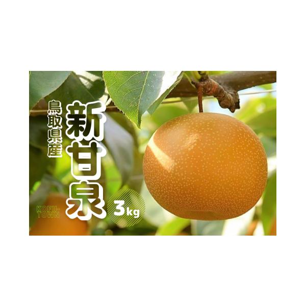 容量新甘泉 約3キロ（5〜12玉前後）発送期日8月下旬〜9月中旬ごろ配送常温 時間指定 別送申込期日7月末まで　※予定数量に達し次第受付終了事業者高間商店申込条件何度も申し込み可