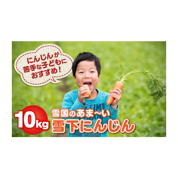 容量約10kg消費期限1週間〜2週間発送期日1月5日以降〜3／下旬（予定）一度雪が積もり甘みが増してからの収穫となります。天候や収穫状況により前後する場合がございます。配送冷蔵 時間指定 別送申込期日〜3月中旬※2026年3月13日 までに...