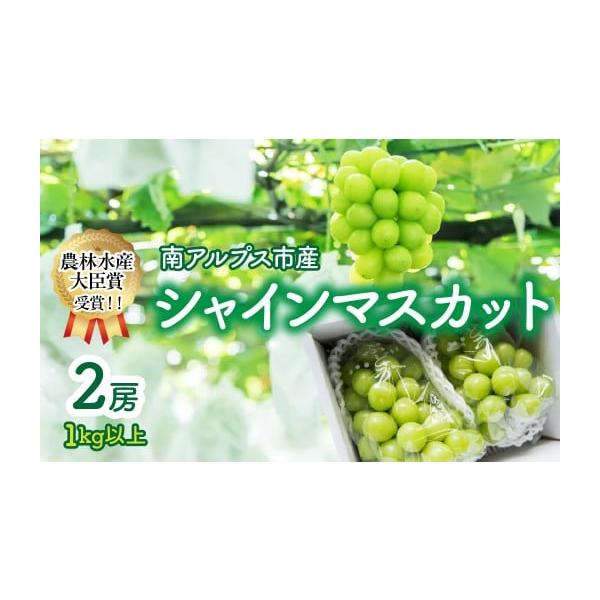容量品種：シャインマスカット房数：2房容量：1kg以上【提供】アグベル株式会社消費期限賞味期限：発送日より5日発送期日2026年8月中旬〜10月下旬配送冷蔵 別送申込期日2026／08／20まで事業者アグベル株式会社申込条件何度も申し込み可