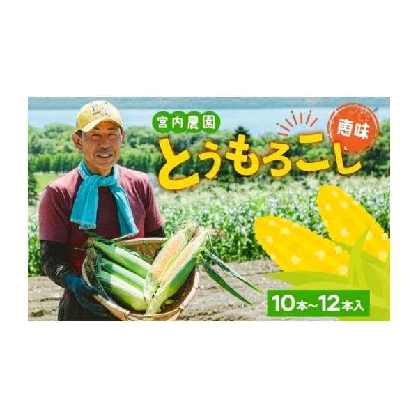 容量【内容量】とうもろこし 恵味 2Lサイズ (400g以上)  10本〜12本【原産地】北海道洞爺湖産《宮内農園》その起源は明治20年（1887年）。現在の四国、香川県、旧丸亀藩から22戸76名にて、洞爺開拓と共に移住、入植、農業を始めま...
