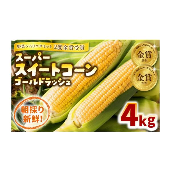 容量4kg(10〜16本)※サイズや本数はご指定出来かねます。消費期限冷蔵7日※できるだけ新鮮なうちにご賞味ください。発送期日ご寄附確認後、2026年5月上旬より順次発送※天候や発送状況により多少前後する場合がございますので、予めご了承くだ...