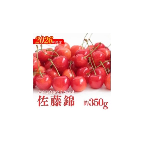 容量約350ｇ消費期限発送日+5日程度（冷蔵保存）発送期日2026年6月中旬から2026年7月上旬発送予定配送冷蔵 時間指定 別送事業者佐藤果樹園_桜田申込条件何度も申し込み可、オンライン決済限定