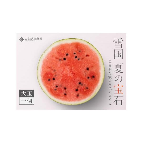 容量１玉 （約６〜９ｋｇ）消費期限商品到着より7日　※お早めにお召し上がりください。発送期日2026年7月25日〜2026年8月5日配送常温 別送申込期日所定の数量に達したら申込終了となります事業者（株）こまがた農園申込条件何度も申し込み可...