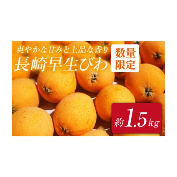 容量ビワ 約1.5kg※びわ玉の大きさはお選びいただけません※大きさによって重さが前後する場合がございますので、ご了承くださいませ。消費期限到着後、お早めにお召し上がりください。（要冷蔵で1〜2週間）発送期日5月中旬より順次発送いたします【...