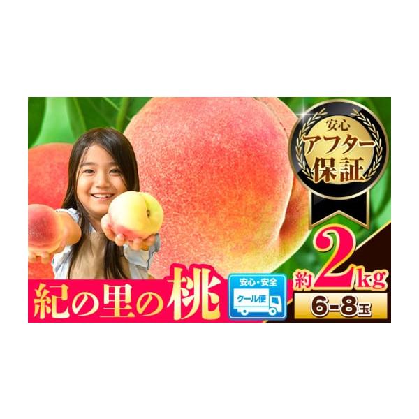 容量約2kg(6-8玉入り)生産地：和歌山白鳳 日川白鳳 八旗白鳳 清水白桃 川中島白桃消費期限お早めにお召し上がりください。発送期日2026年6月中旬-8月中旬頃出荷配送冷蔵 時間指定 別送申込期日7月下旬頃まで※但し予定数量に達し次第終...