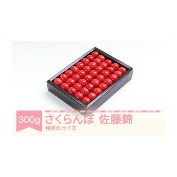 容量特秀2Lサイズ 300g消費期限早めにお召し上がりください。発送期日6月中旬〜6月下旬頃順次発送  ※生育の状況により多少前後することがあります。配送冷蔵 時間指定 別送申込期日2026年6月11日事業者株式会社 東根農産センター申込条...