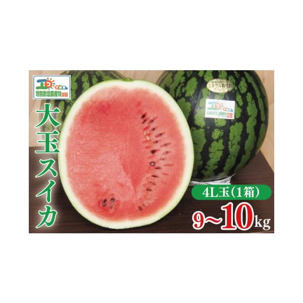 容量茨城県産大玉スイカ　4Lサイズ（9〜10kg）消費期限発送到着から1週間程度※食べごろを見計らって発送いたしますので、到着後はなるべく早めに召し上がってください。発送期日2026年6月上旬〜7月下旬頃にお届け※上記期間以外での配送は致し...