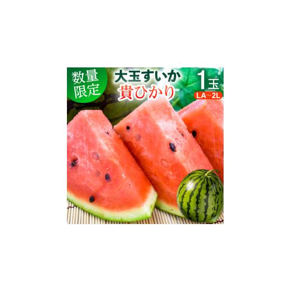 容量LA〜2Lサイズ（6kg〜8kg）1玉入り1箱消費期限なるべくお早めにお召し上がりください。発送期日寄附納入確認後、5月中旬頃〜6月に発送します。※生産の都合で前後する場合があります。※日付の指定はできませんが、ご不在日がある場合には備...