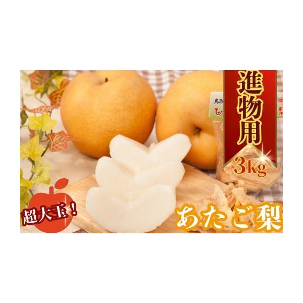 容量〔容量〕6玉 3kg消費期限発送日から1か月発送期日2026年11月20日頃から2027年1月20日頃配送常温 時間指定 別送申込期日2026年10月4日事業者山田農園（有） 0858-84-3086申込条件何度も申し込み可