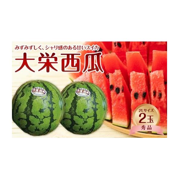 容量秀2Ｌ×2玉発送期日2026年6月下旬頃〜7月中旬頃に順次発送予定配送常温 時間指定 別送申込期日2026年6月中旬頃まで事業者お台場いちば申込条件何度も申し込み可