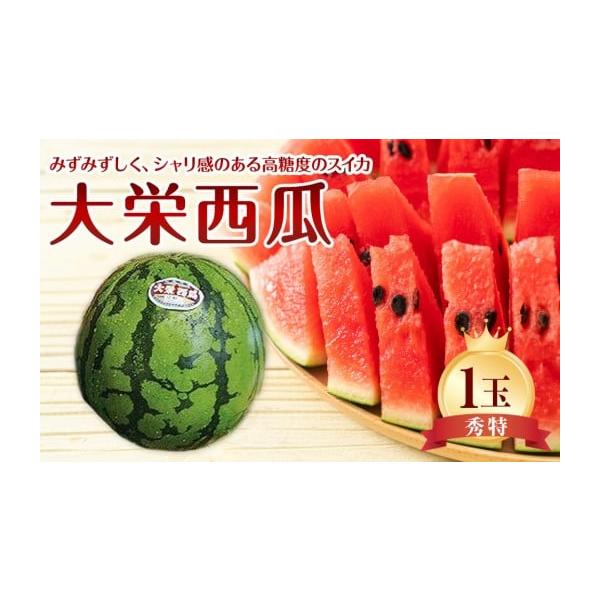 容量秀特×1玉発送期日2026年6月下旬頃〜7月中旬頃に順次発送予定配送常温 時間指定 別送申込期日2026年6月中旬頃まで事業者お台場いちば申込条件何度も申し込み可