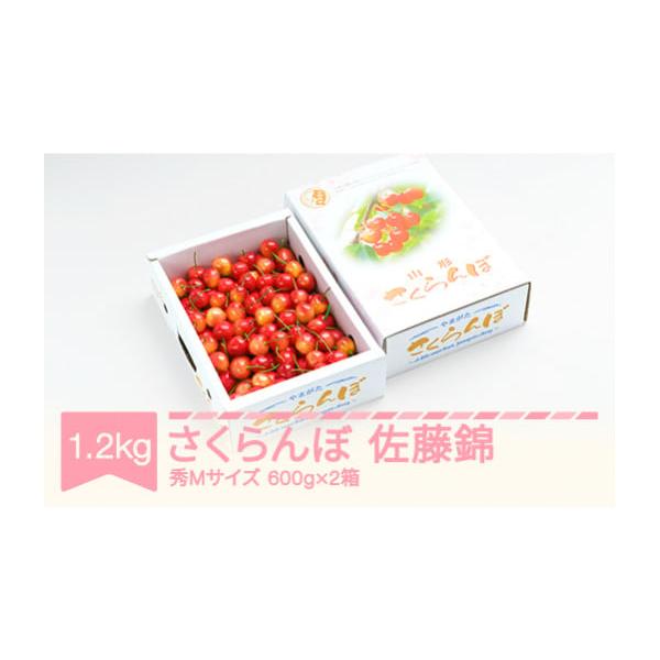 容量秀Mサイズ 1.2kg(600g×2箱)消費期限早めにお召し上がりください。発送期日6月中旬〜6月下旬頃順次発送  ※生育の状況により多少前後することがあります。配送冷蔵 時間指定 別送申込期日2026年6月11日事業者株式会社 東根農...