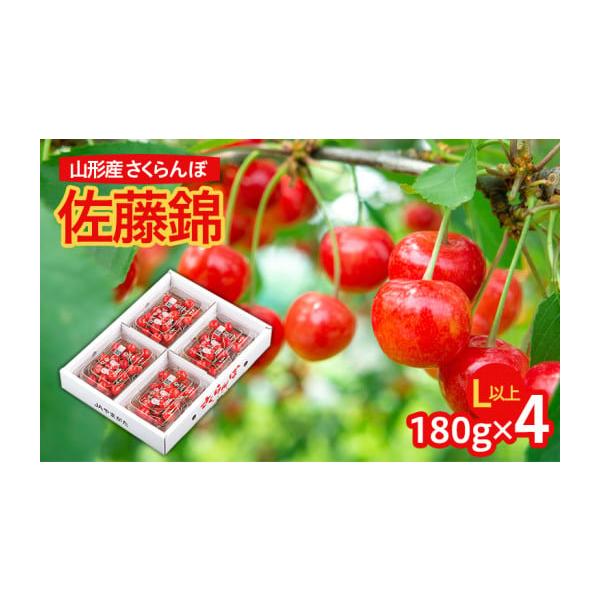 容量【令和8年産】山形市産 さくらんぼ 佐藤錦 L以上 720g(180g×4パック) バラ詰め発送期日2026年06月15日頃〜2026年06月30日頃※状況により配送時期が前後する場合がございます。(着日指定不可)配送冷蔵 時間指定 別...