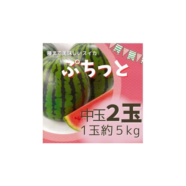容量中玉×2玉消費期限生ものなのでなるべくお早めにお召し上がりください。発送期日寄附納入確認後、2026年6月に発送します。※生産の都合で前後する場合があります。配送常温 時間指定 別送申込期日オンライン決済以外は2026年5月24日まで、...