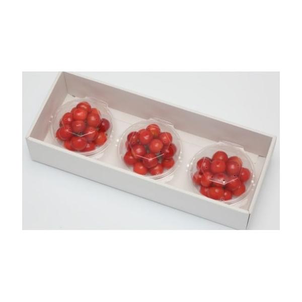 容量秀：300g(Lサイズ以上：100g×3パック)消費期限2〜3日程度発送期日2026年5月下旬〜6月上旬配送冷蔵 のし 時間指定 別送申込期日2026年5月31日まで事業者株式会社 やまがたさくらんぼファーム申込条件何度も申し込み可