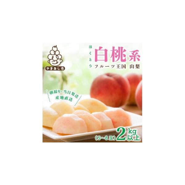 容量■内容量／原産地桃(白桃系) 2kg以上(5〜8玉)原産地:山梨県■注意事項／その他※画像はイメージです。※品種、玉数は指定できません。※発送過程において水分が蒸発するため、容量が下がる場合がございます。　※到着後すぐに状態の確認をお願...