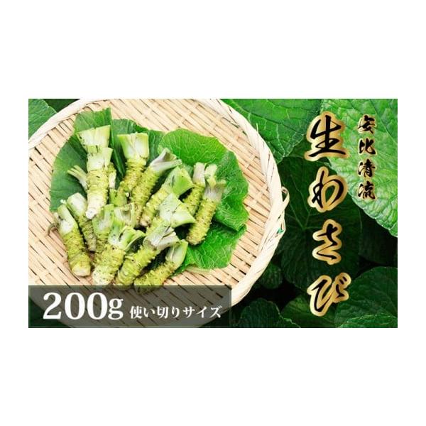 容量生わさび200g(使い切りサイズ) 品種：ファースト、正緑など※まれに茎の隙間に小さなミミズが入っていることがありますが、わさびに害はありませんので安心してお召し上がりください。水でよく洗い流してください。※季節によってわさびの色、形、...
