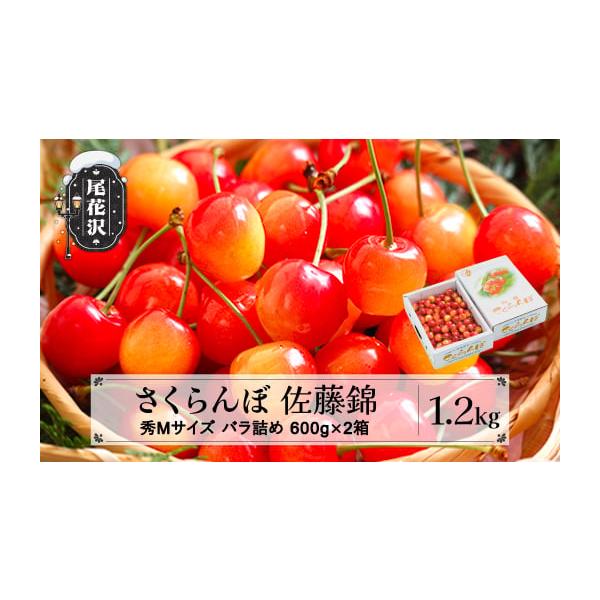 容量秀Mサイズ 1.2kg(600g×2箱)発送期日2026年6月上旬~6月下旬頃にお届け※生育の状況により多少前後することがあります。配送冷蔵 時間指定 別送申込期日2026年6月9日まで事業者株式会社 東根農産センター申込条件何度も申し込み可