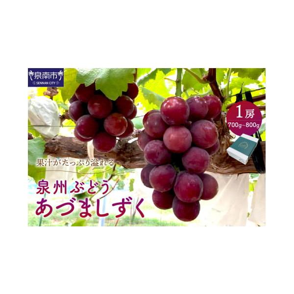 容量あづましずく　1房 （約700g〜800g）■生産地：大阪府泉南市消費期限■消費期限：お届け日から冷蔵で一週間■保存方法：軸がついたまま冷蔵庫で保管ください。発送期日発送開始日から順次お届けします（発送期間：2026年7月25日〜）配送...