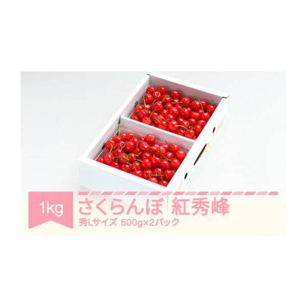 容量秀Lサイズ 1kg消費期限早めにお召し上がりください。発送期日6月下旬〜7月上旬頃にお届け  ※生育の状況により多少前後することがあります。配送冷蔵 時間指定 別送申込期日2026年6月11日事業者株式会社 東根農産センター申込条件何度...