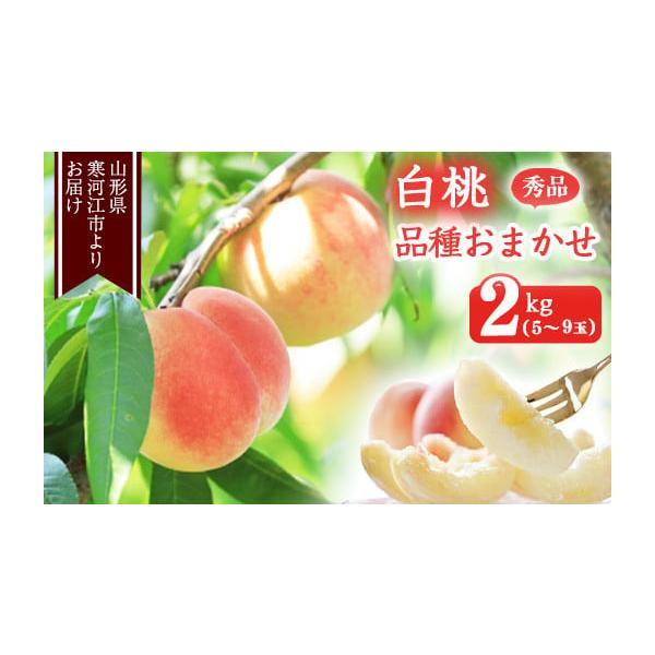 容量2026年産（令和8年産）山形県産（寒河江市産）白桃 品種おまかせ 秀品　2kg（5〜9玉）「暁星(ぎょうせい)、尚美(しょうび)、あかつき、白鳳、なつっこ、まどか、いけだ、きらら姫、紅博桃、ももか、なつおとめ、陽夏妃、川中島白桃、ゆう...