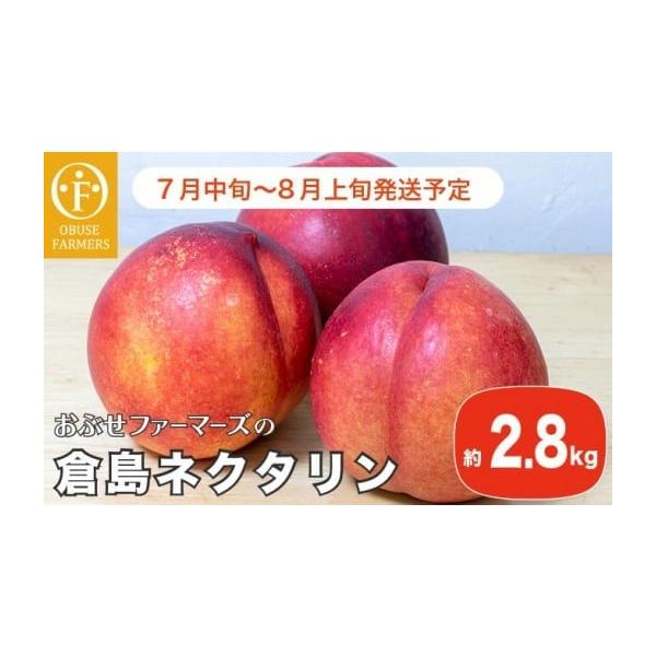 容量倉島ネクタリン 約2.8kg発送期日2026年7月中旬〜8月上旬予定※天候や収穫状況により、お届けや規格が変更になる場合がございます。配送冷蔵 別送申込期日2026年8月5日まで※期限内であっても数量に達し次第終了させていただきます。事...