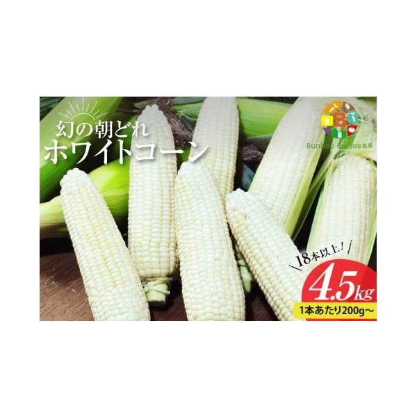 容量18本以上入り 200g以上4.5kg入※重量は出荷規格（絹毛、外葉、切り口も残した状態）に則り測定しています。※収穫直後は水分を多く含んでいますが、時間の経過とともに水分が蒸発し受け取り時には10%ほど重量が軽くなることがございます。...