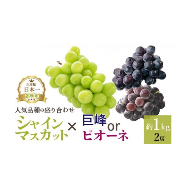 容量【大人気ぶどう2種盛り合わせ】 シャインマスカット・巨峰 or ピオーネ（1.0kg） 発送期日8月上旬〜11月上旬予定（天候により前後します）※沖縄県・離島には配送できません。配送常温 時間指定 別送申込期日9月15日まで事業者（株）...